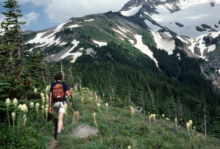 The Best Hiking Trails Near Portland, Oregon - Voyager Campervans