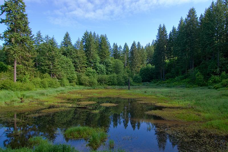 Top 5 campervan-friendly campgrounds near Portland, Oregon - Voyager ...